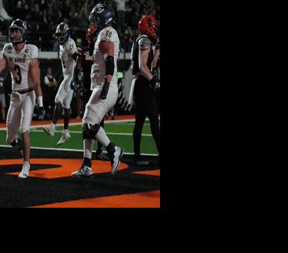 Larison twice honored for big season | Sports | davisenterprise.com