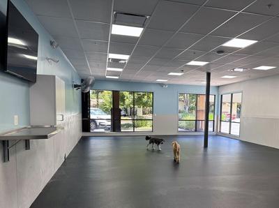 Comings & Goings: Doggie day care opening soon | Business ...