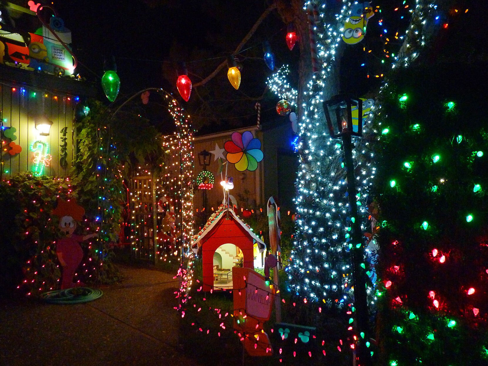 24bang1W.jpg | | davisenterprise.com