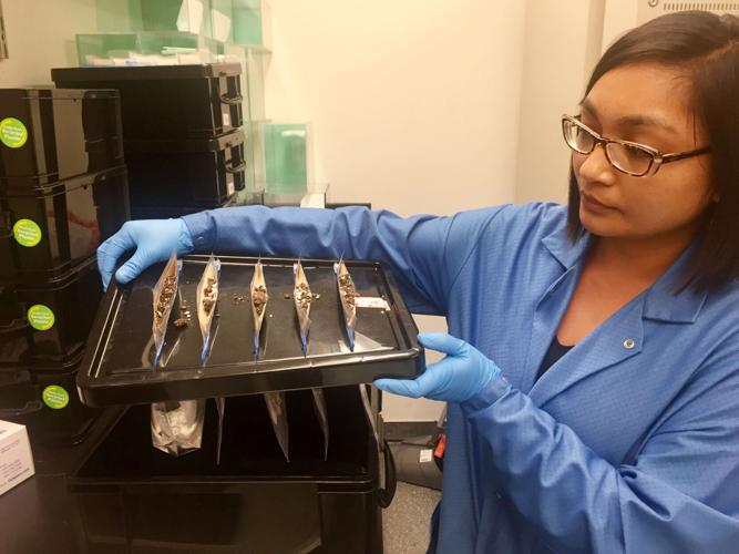 Novozymes: Innovation through enzymes | Business | davisenterprise.com