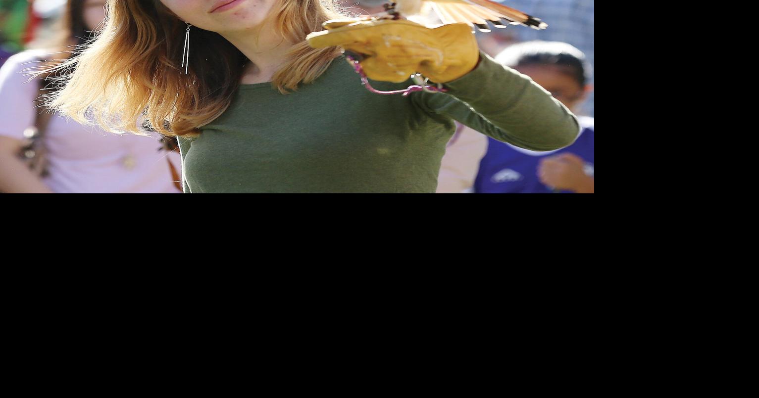 Visitors’ Guide: California Raptor Center | Features | davisenterprise.com