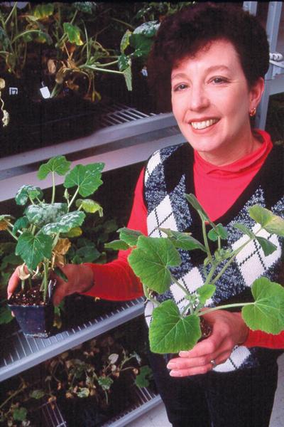 Marrone Bio Innovations IPO raises $57 million | News | davisenterprise.com