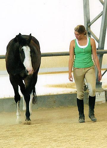 Jenny Kerr DHS grad equestrian photos | Do-not-import | davisenterprise.com
