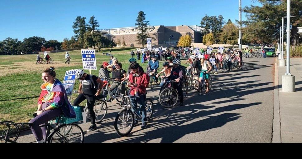 Steinberg named mediator between UC and UAW | State government ...