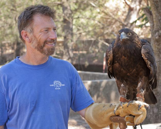 Raptor Center photos | Do-not-import | davisenterprise.com