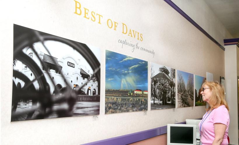 City photo contest photos | Do-not-import | davisenterprise.com