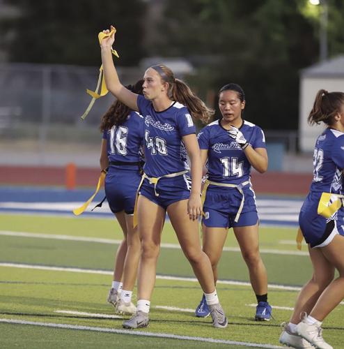 View from the Sideline: Flying the flag for DHS | Sports ...