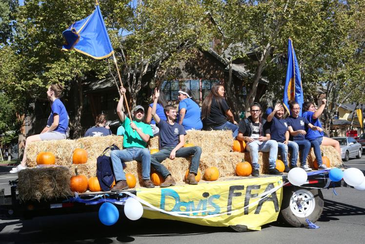 Go Big Blue! Devils celebrate Homecoming | News | davisenterprise.com