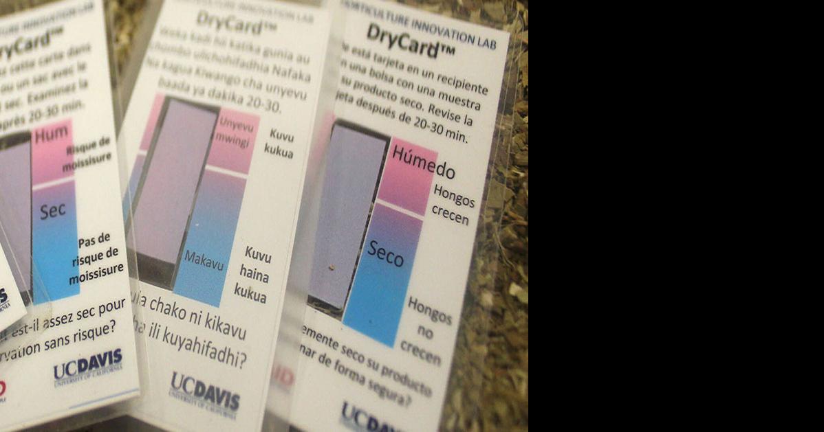 UCD ‘DryCard’ invention wins competition to reduce food loss in Africa ...