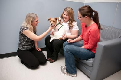 Bain wins national honor for companion animal work | News ...