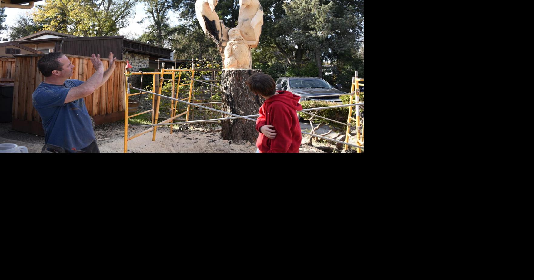 The wizard of wood | News | davisenterprise.com