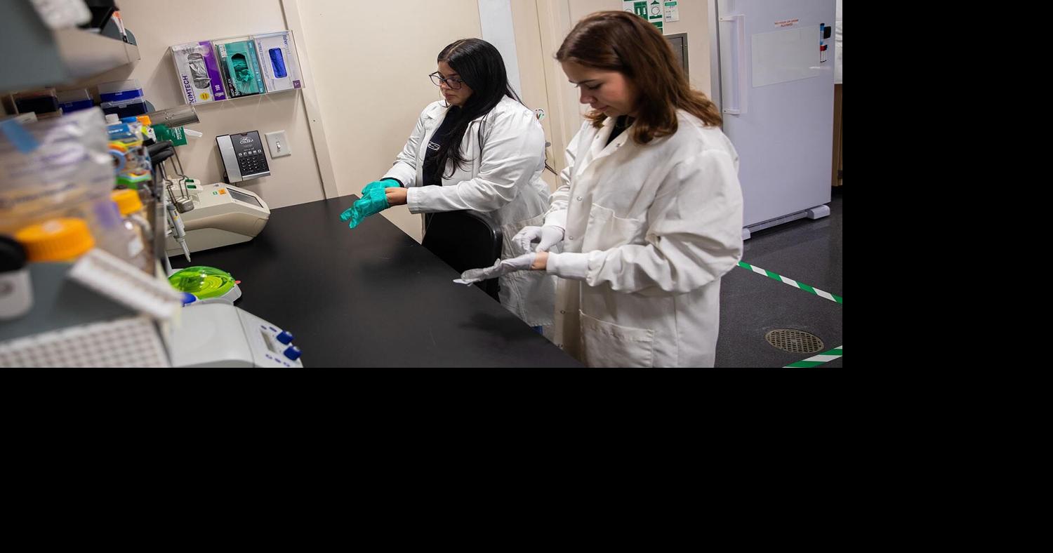 NIH cuts impact student researchers | News | davisenterprise.com