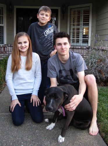 Moxy and Heeren family photo | Do-not-import | davisenterprise.com