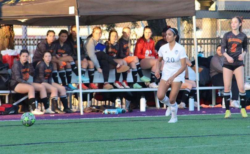 Soccer: DHS, St. Francis share Delta League crown | Blue Devils ...