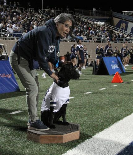 Football: ‘Ruff’ but fun job for Cori | Aggies | davisenterprise.com