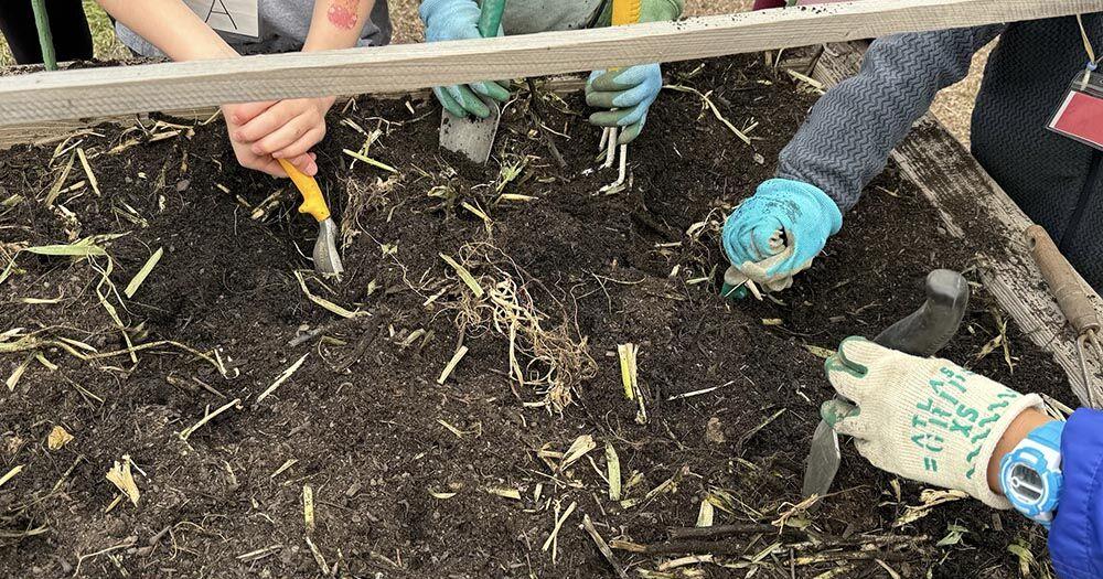 Davis Farm to School: What parents working together can do | Features ...