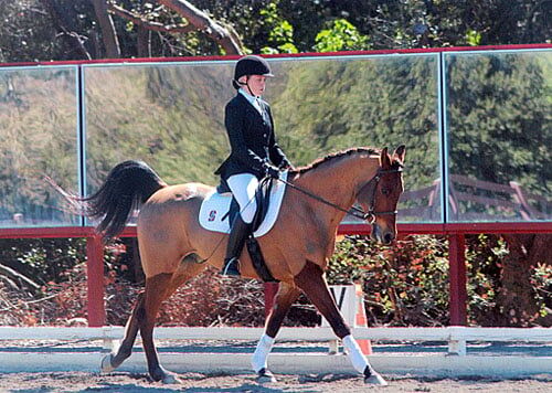 Jenny Kerr DHS grad equestrian photos | Do-not-import | davisenterprise.com