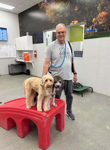 Davis dogs get a new place to hang | Business | davisenterprise.com