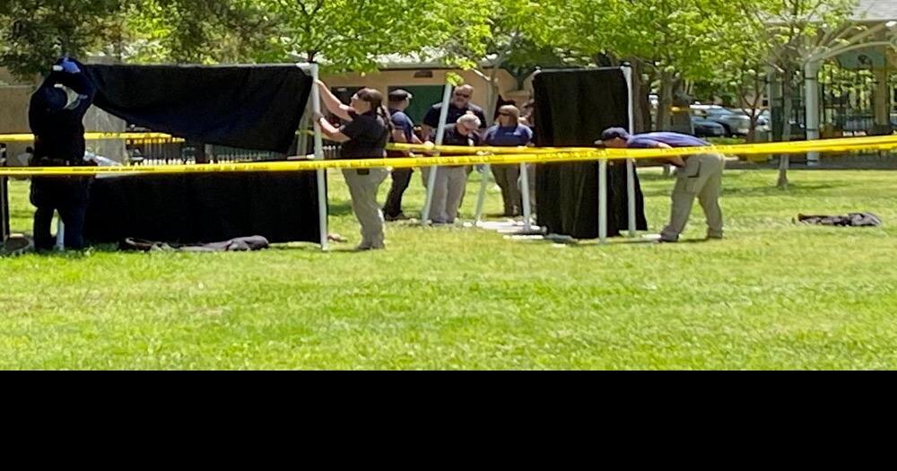 Police: Man found dead in Central Park is homicide victim | Crime, Fire ...