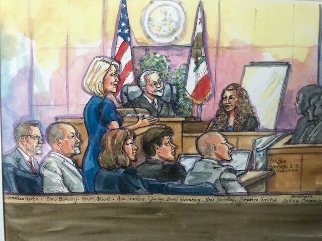 Rosenberg announces Yolo Superior Court retirement | News ...