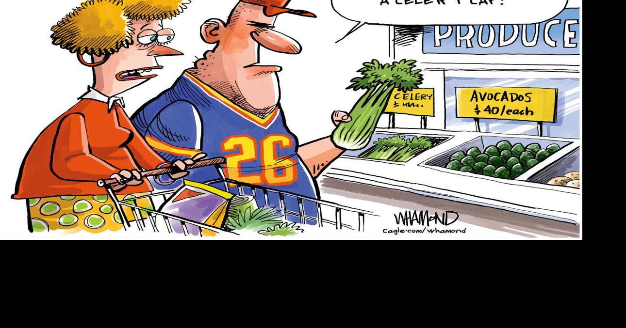 Dave Whammond cartoon | Forum | davisenterprise.com