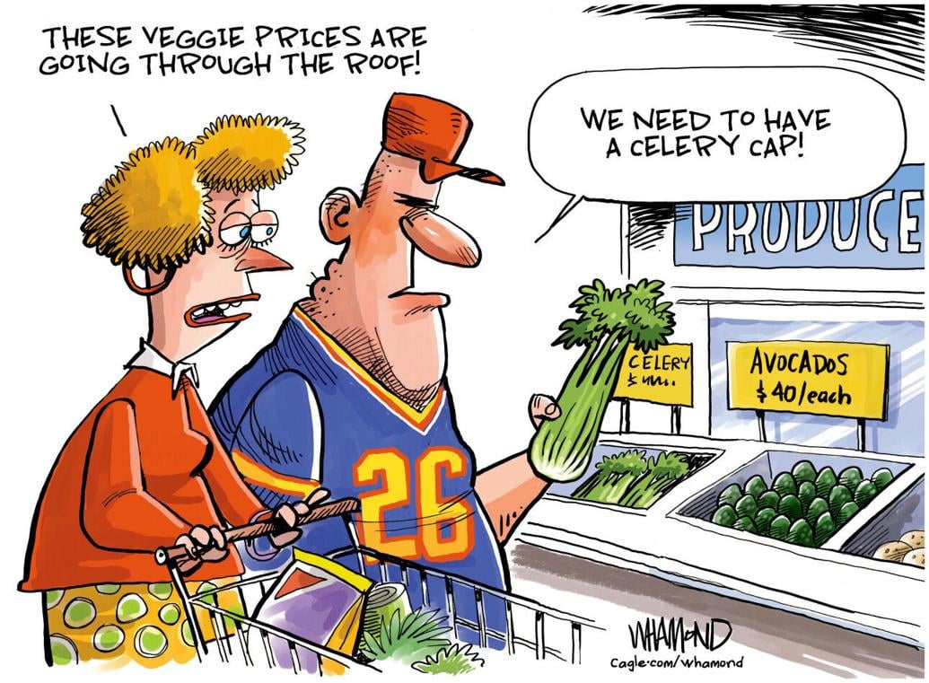 Dave Whammond cartoon | Forum | davisenterprise.com