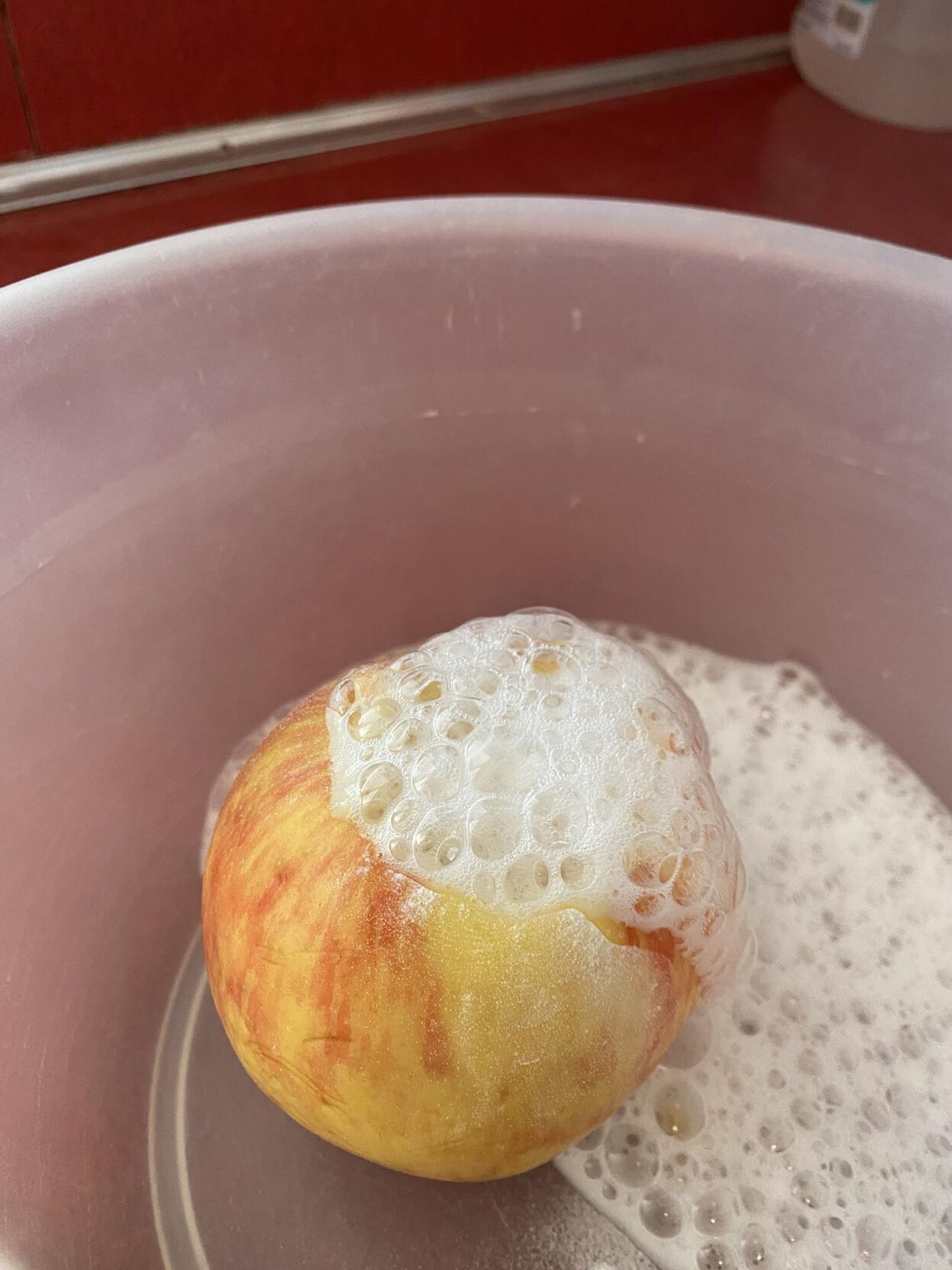 Explorit: Bob for this fizzy apple experiment | Features ...
