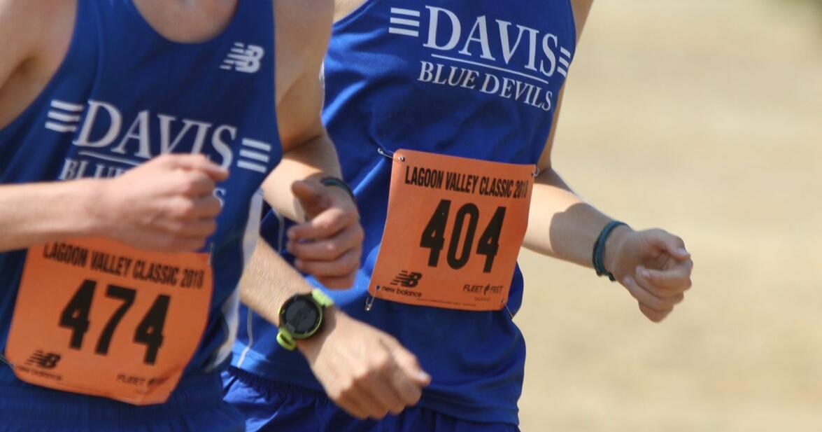 DHS cross country teams have eyes on the prize | Sports ...