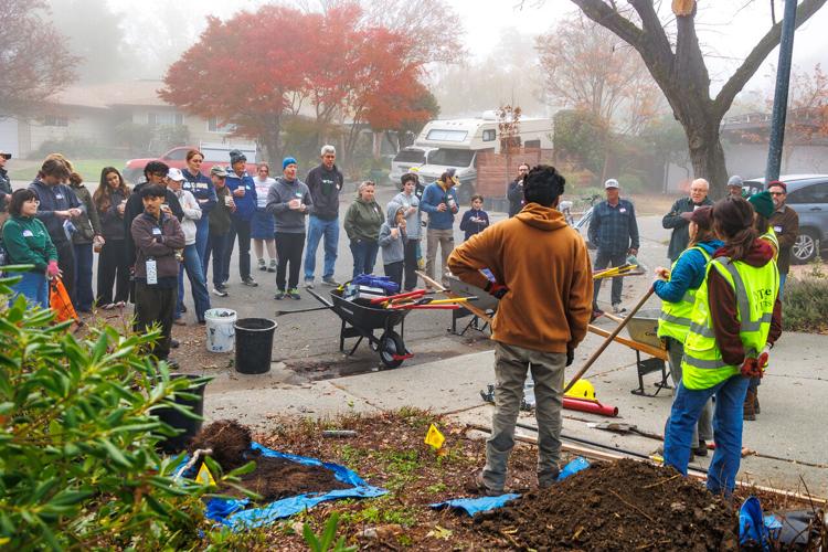 Dartmouth Place neighbors lead tree-planting effort | News ...