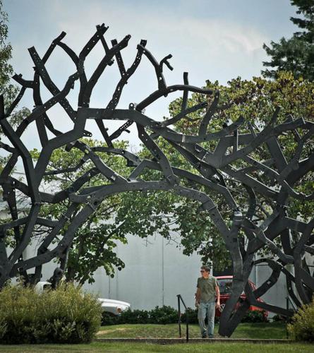 Christopher Fennell photos | Do-not-import | davisenterprise.com