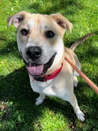 New state website can block hundreds of data brokers | Software ...