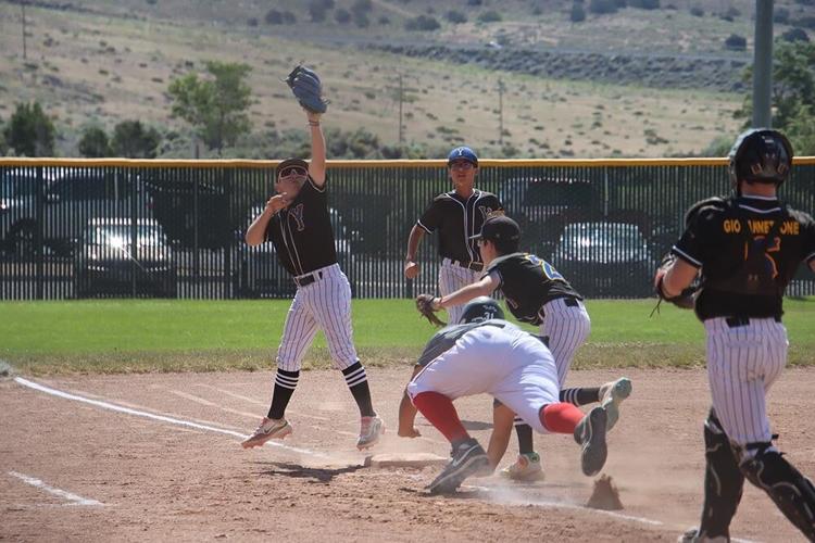 Baseball: Yardbirds shine at World Series | Sports | davisenterprise.com