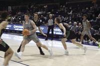 Don Shor: Ideas for privacy: hedges, vines, bamboo | Features ...