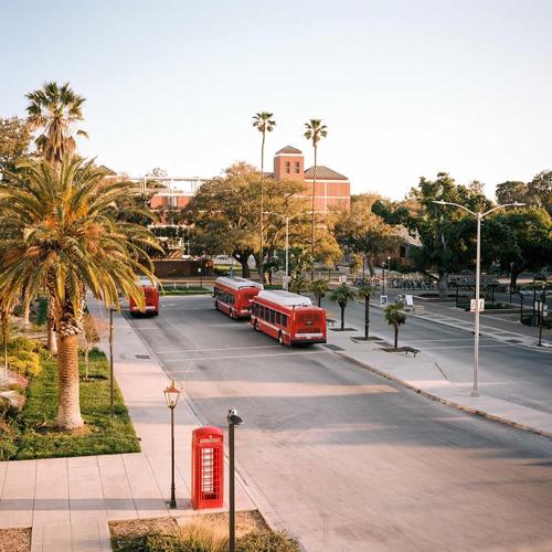 Davis in a time of COVID | Features | davisenterprise.com