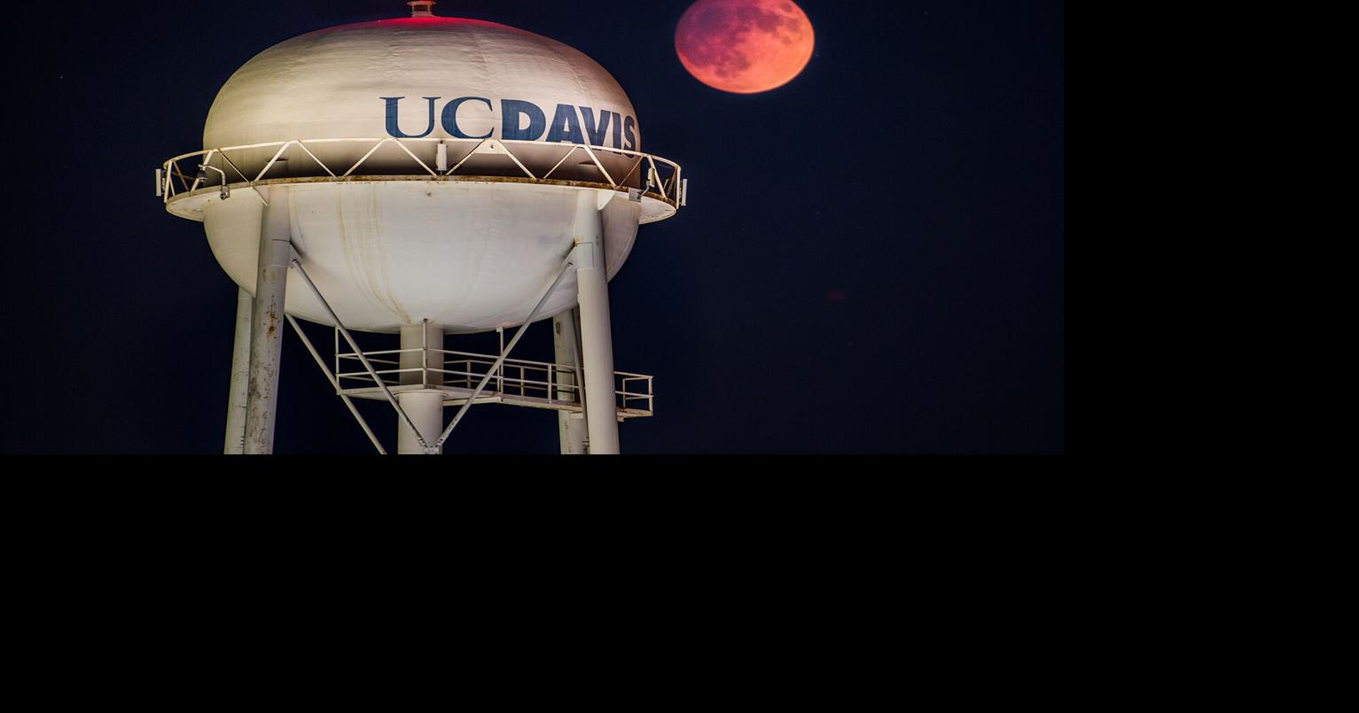 UC Davis ranked among world’s best universities | News ...