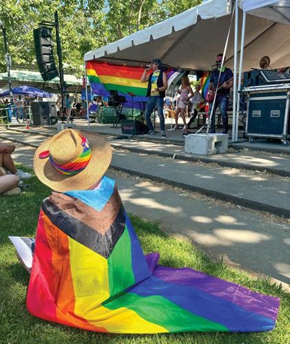 Davis Pride Festival draws biggest crowd ever | Arts & Entertainment ...