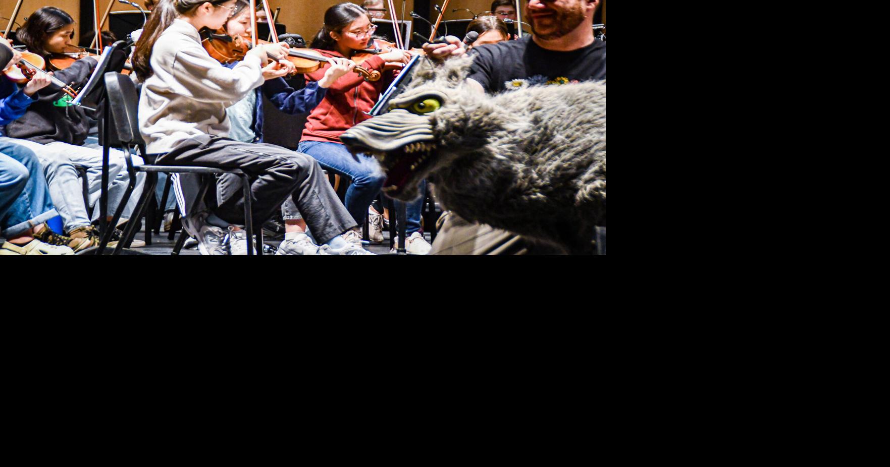 DHS symphony reaches out with ‘Peter and the Wolf’ | Singing ...