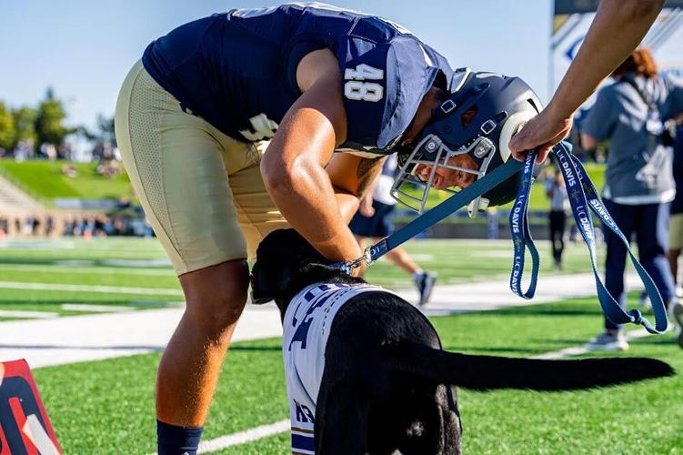 Football: ‘Ruff’ but fun job for Cori | Aggies | davisenterprise.com