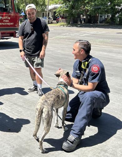 Firefighters forge fur-ever friendship with rescued dog | News ...