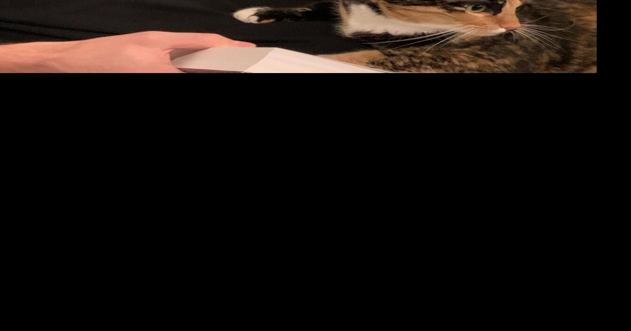 James Alexander McNulty | Obituaries | davisenterprise.com