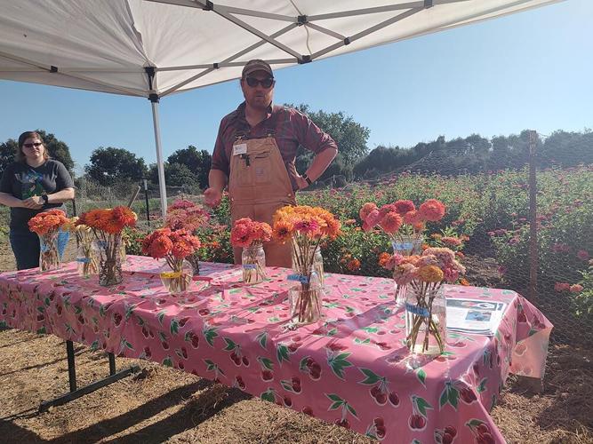 SCOPE project hosts farm tour | Features | davisenterprise.com