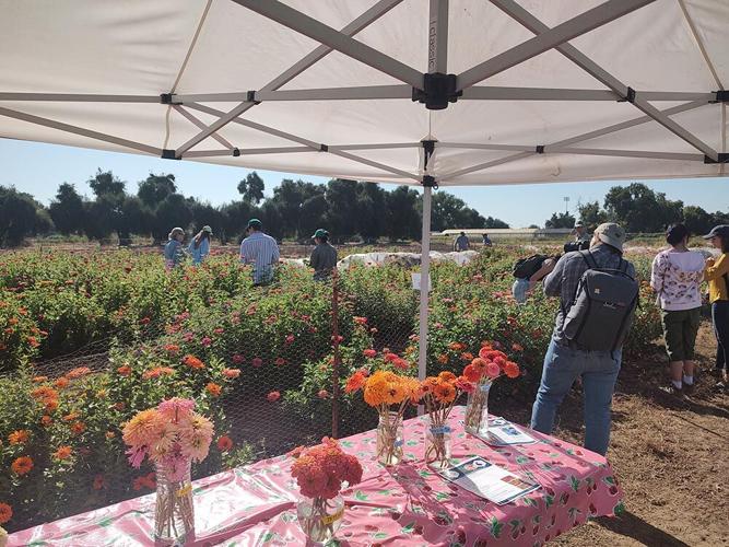 SCOPE project hosts farm tour | Features | davisenterprise.com