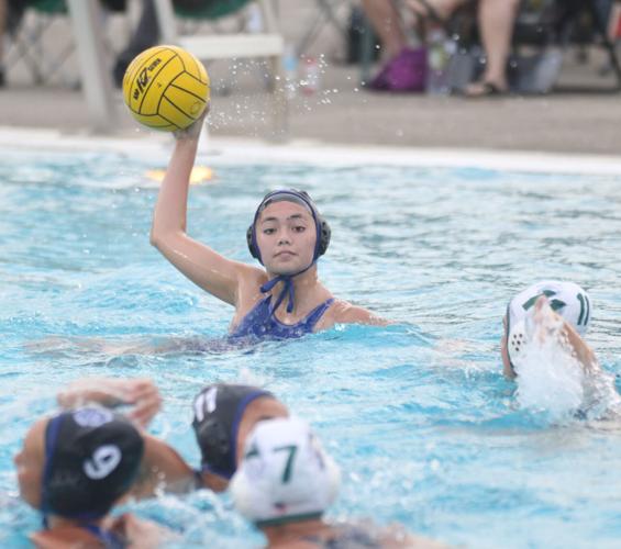 Sixty-four Blue Devils named to 2021 All-Davis Enterprise honor roll ...