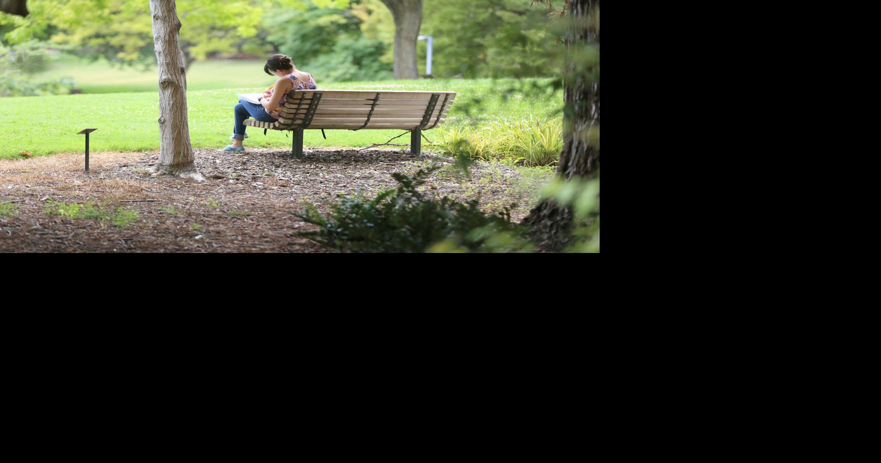 Snapshot: Take a walk along the UCD Arboretum | News | davisenterprise.com