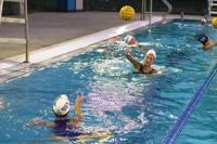 Don Shor: Ideas for privacy: hedges, vines, bamboo | Features ...