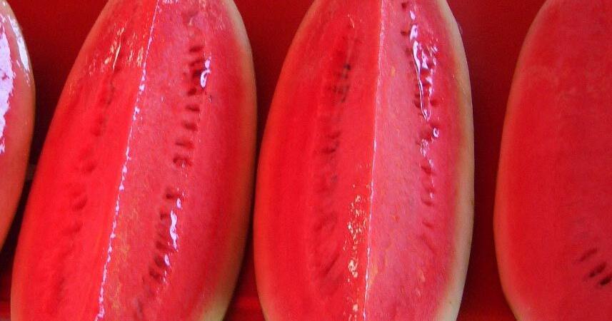Explorit: Beat the heat with watermelon | Features | davisenterprise.com