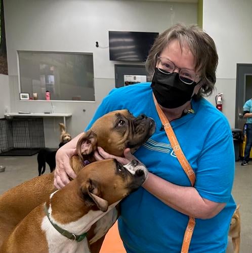 Davis dogs get a new place to hang | Business | davisenterprise.com