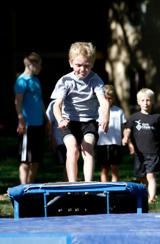 Davis Diamonds to make leap to new home | City government ...