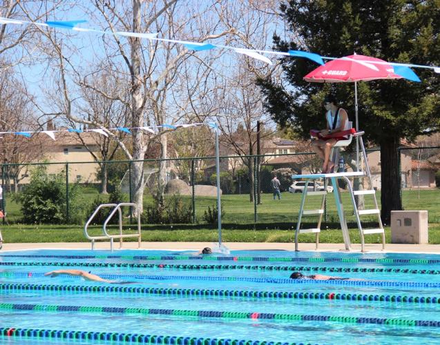 Davis Parks department aims to make life brighter for residents | News ...