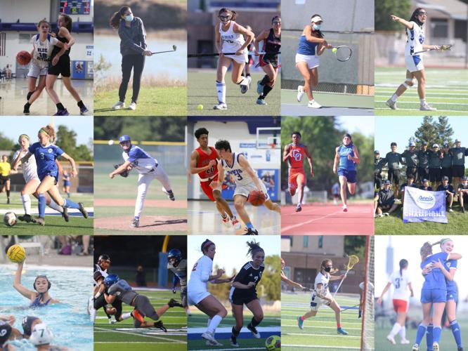 Sixty-four Blue Devils named to 2021 All-Davis Enterprise honor roll ...